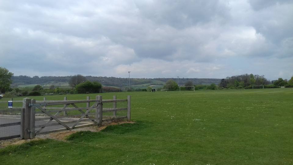 Europe Day Picnic (West Kent) – West Kent for Europe